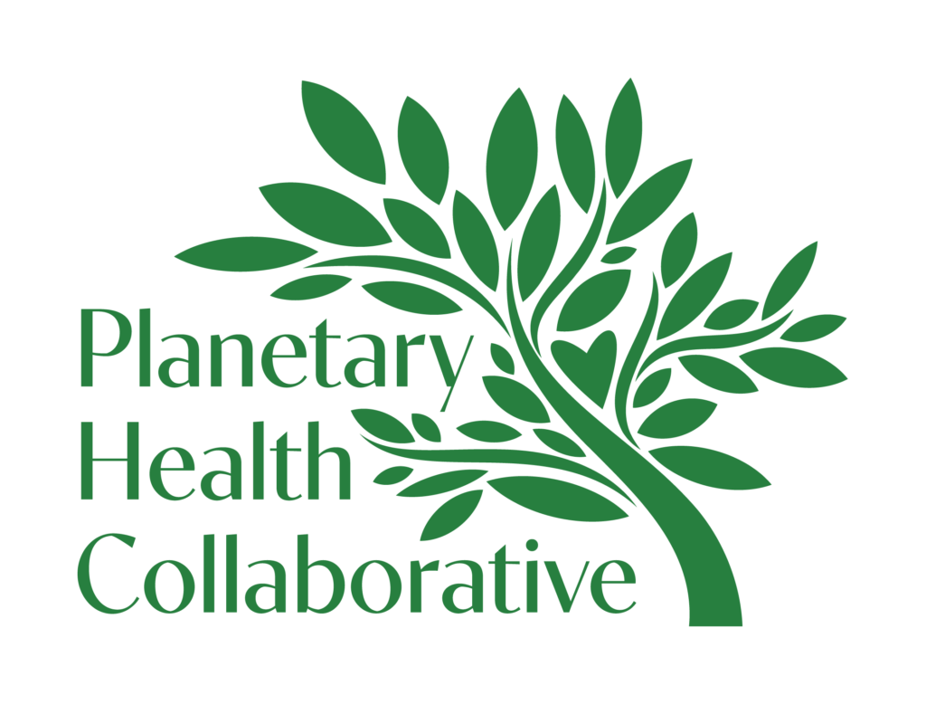 In the beginning … the evolution of the Planetary Health for Nursing ...